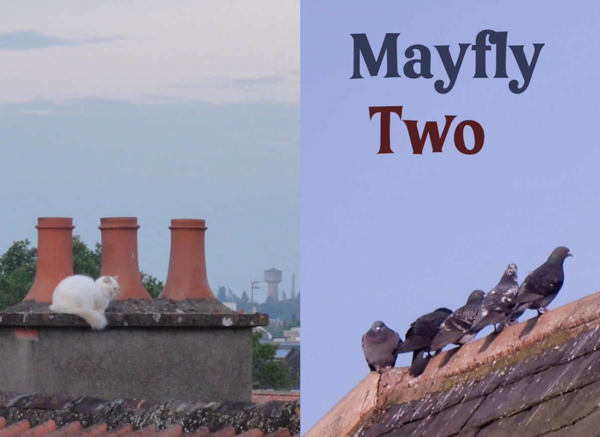 Selectorama : Mayfly Two - Section26